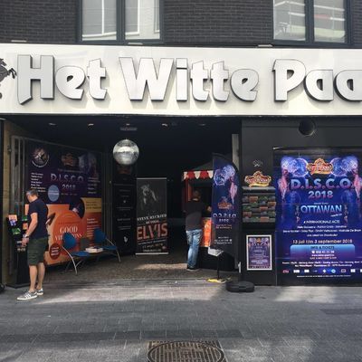 Het Witte Paard | Activiteiten aan de Belgische kust